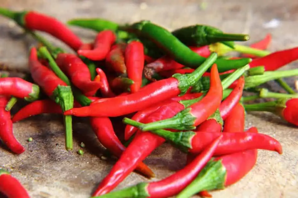 How Food Can Impact a Healthy Singing Voice - The Vocal Hub
